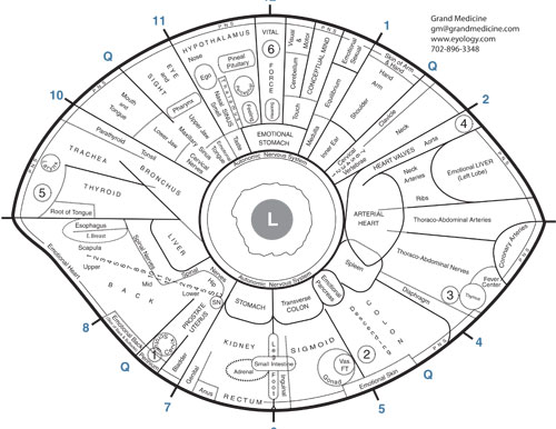 Sclerology | Celebrate Your Life with the Journey to Health - Healing ...